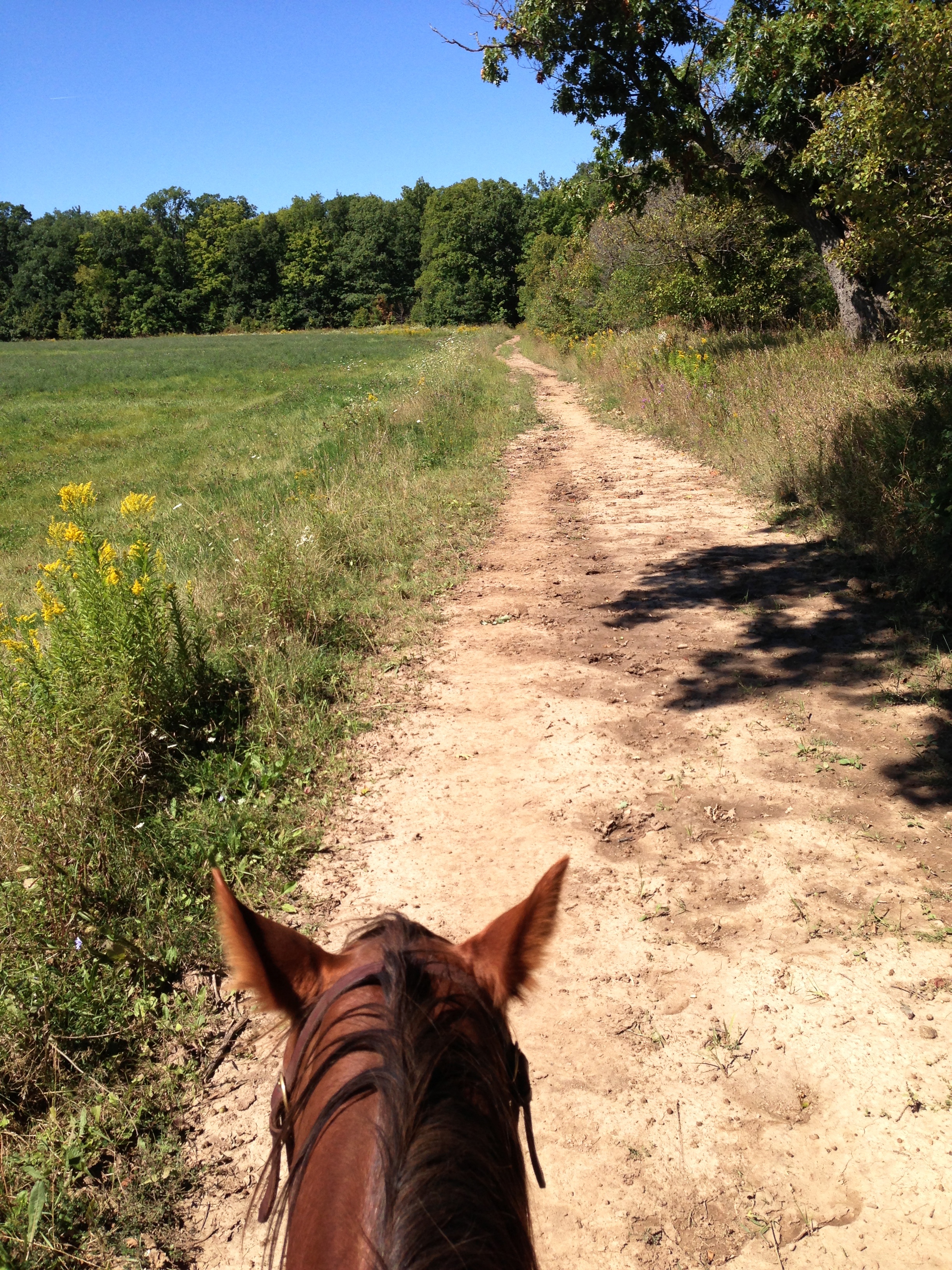 trailride5 – The Ranch